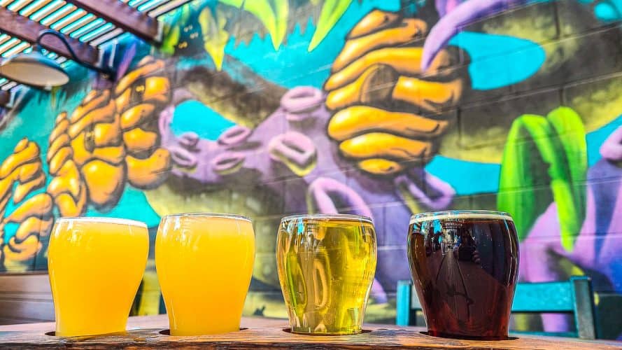 10 Best Downtown Phoenix Breweries and Beer Bars (With Map)