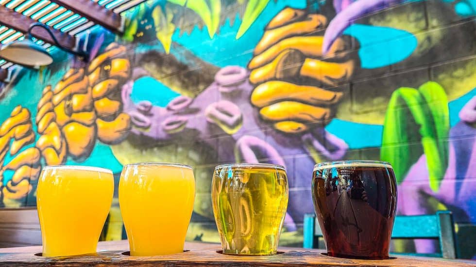 10 Best Downtown Phoenix Breweries and Beer Bars (With Map)